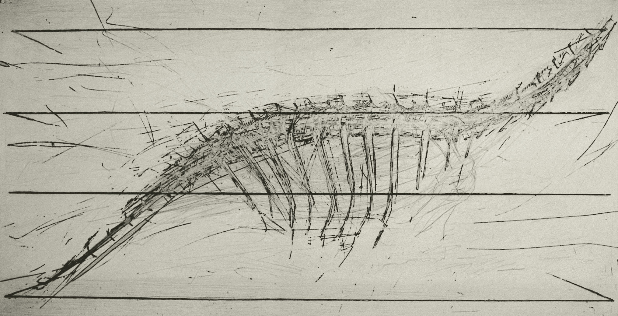 Métamorphosis – Loïc Person